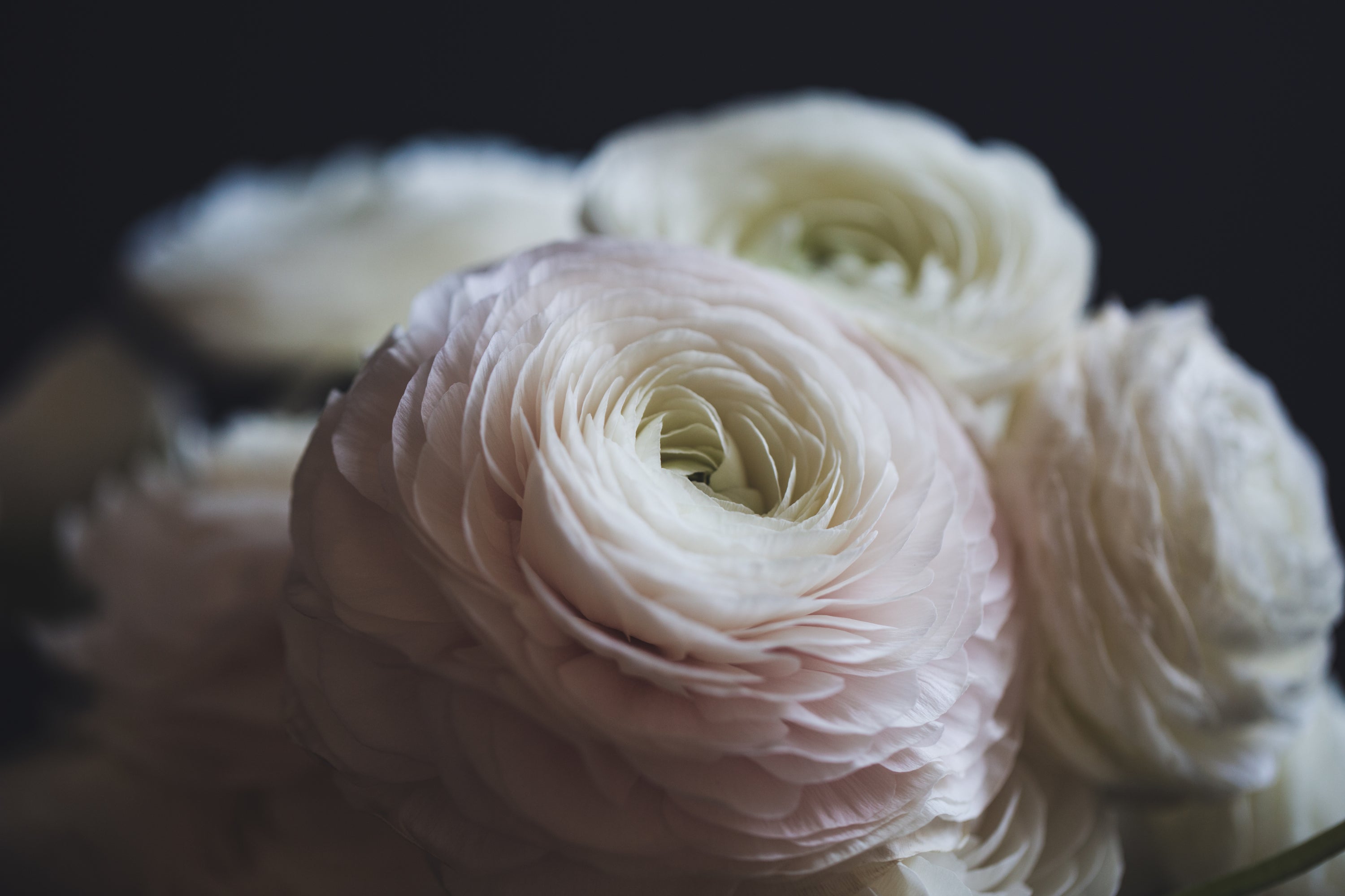 Baxter Flowers & Gifts – Baxter Flowers and Gifts